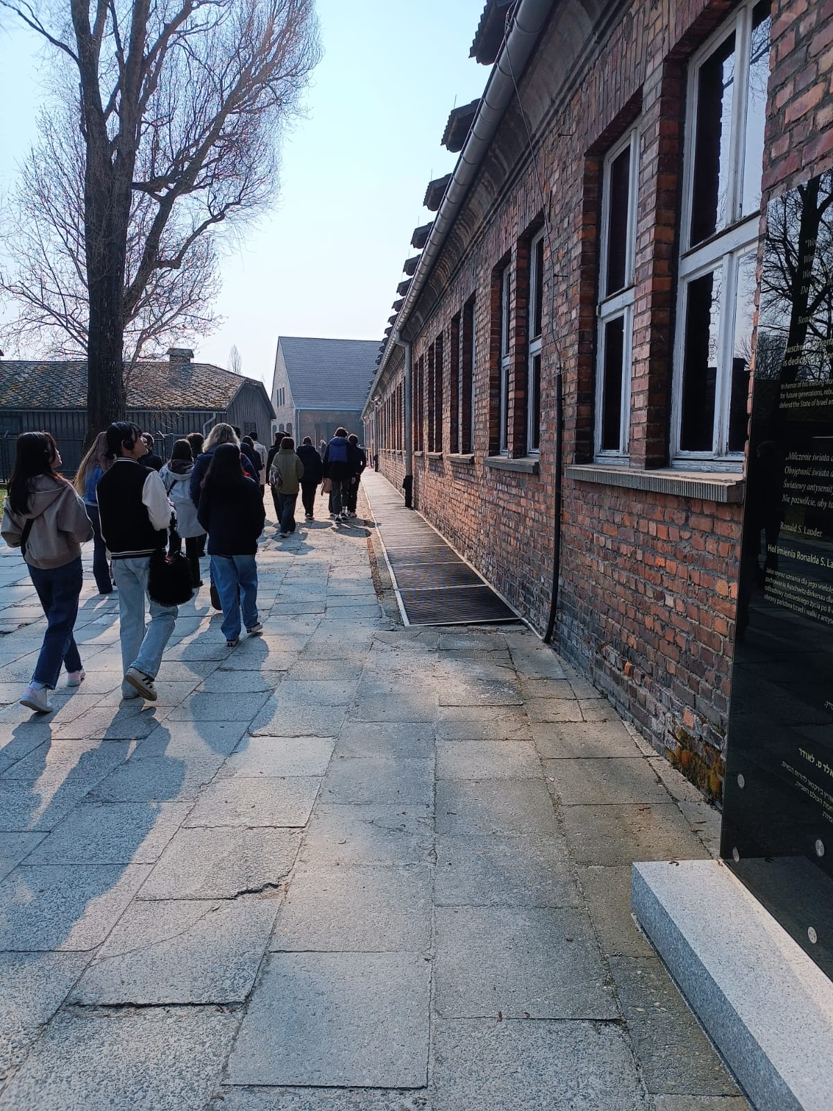 Field study excursion to Auschwitz | Events - International.edu.pl