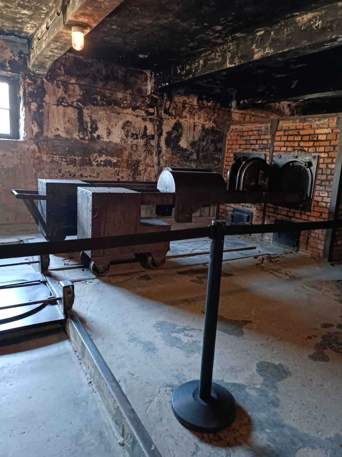 Field study excursion to Auschwitz | Events - International.edu.pl